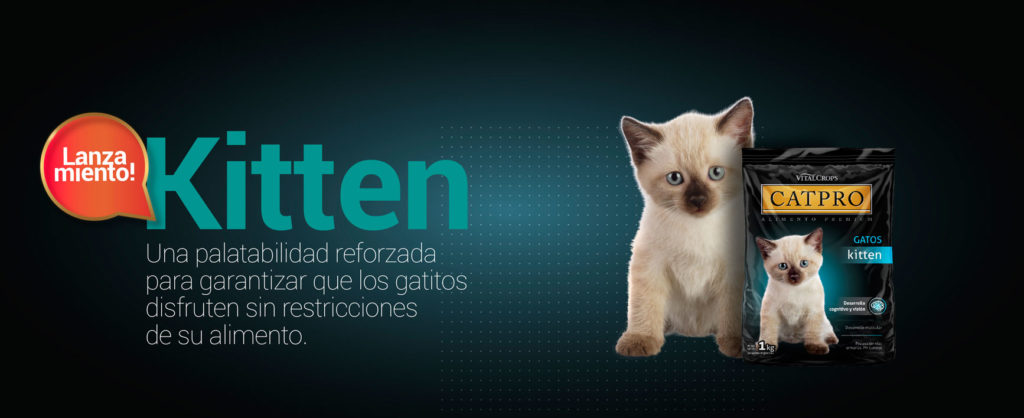 CATPRO | Alimento Premium para Gatos