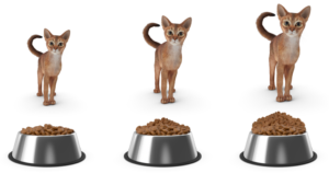 CATPRO | Alimento Premium para Gatos Adultos